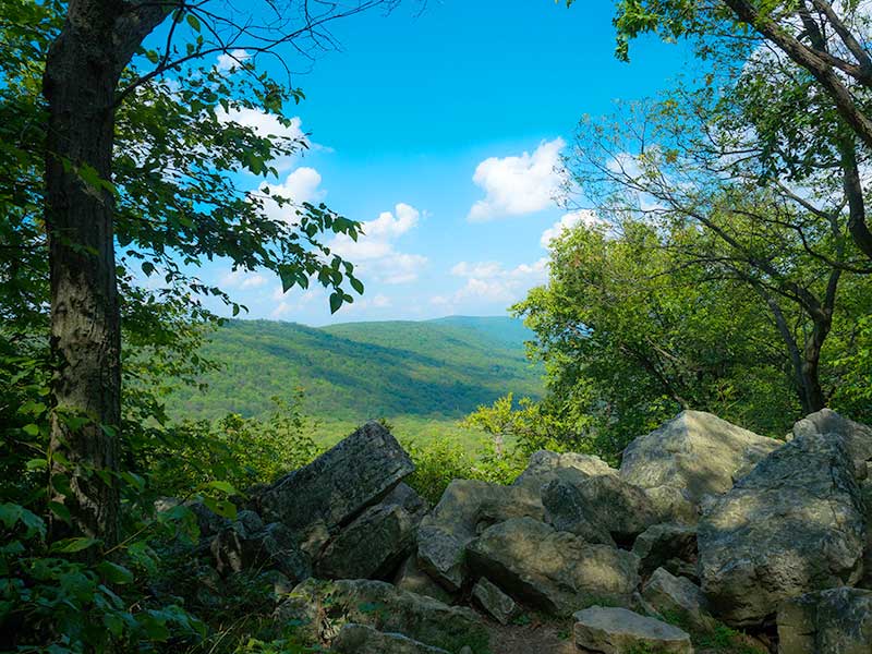 Hawk Mountain Sanctuary - Where & When