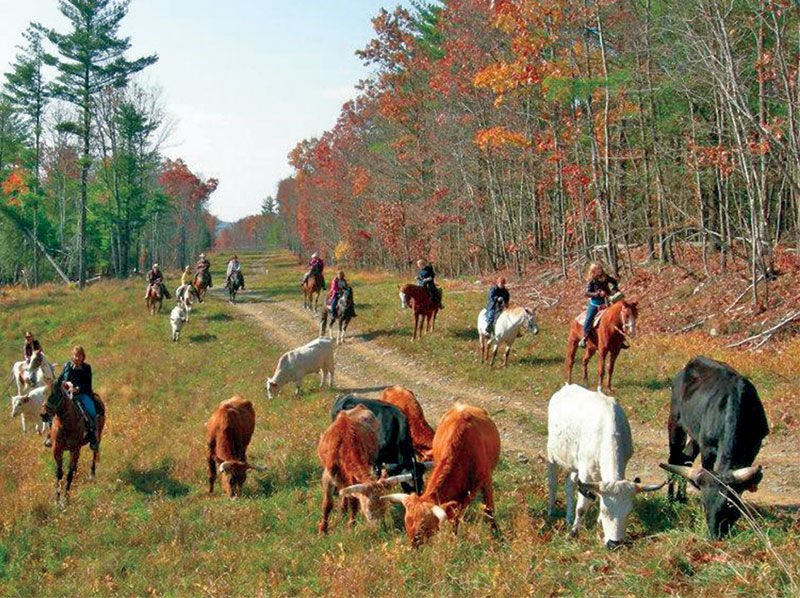 Malibu Dude Ranch - Where & When
