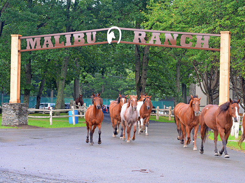 Malibu Dude Ranch - Where & When