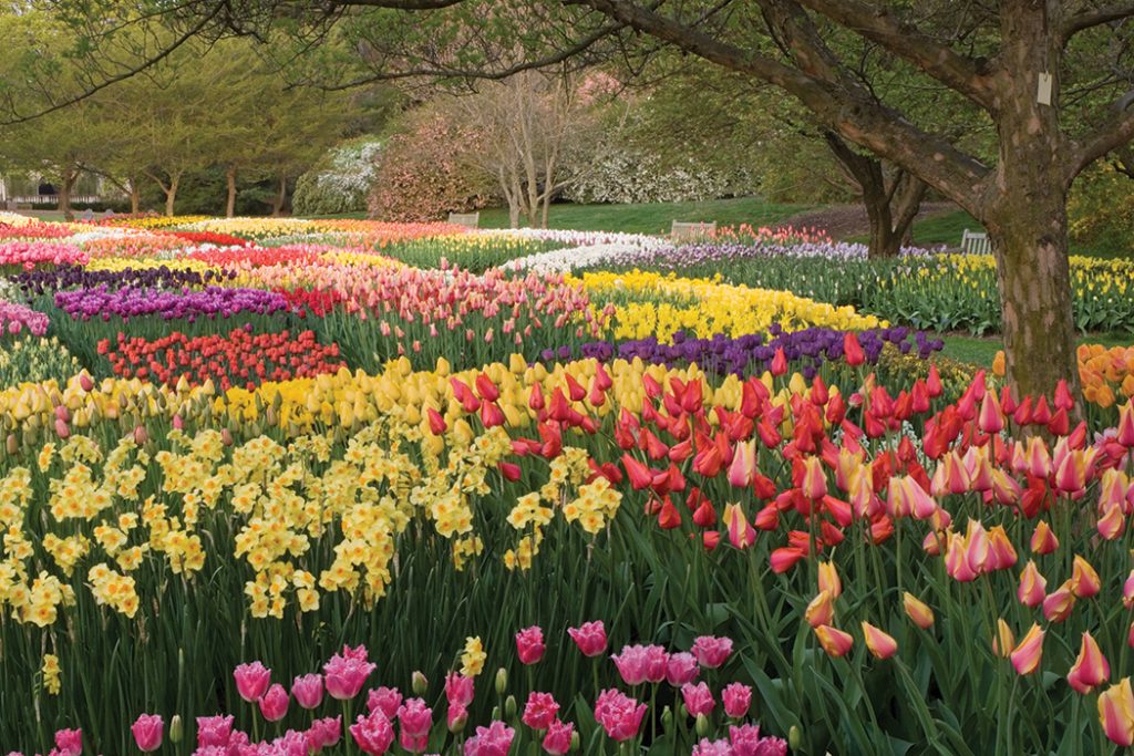 Springtime Getaway in the Brandywine Valley - Where & When