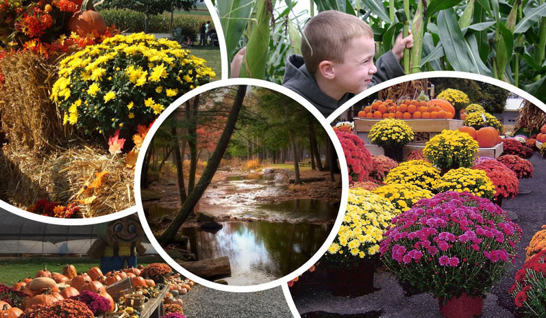 Pennsylvania Travel & Tourism Guide - Where & When