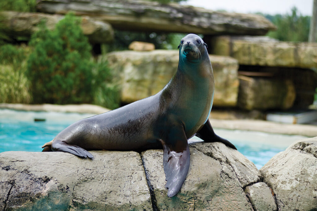 Zoos & Wildlife Parks in Pennsylvania - Where & When