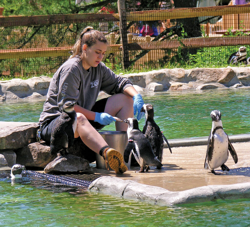 Zoos & Wildlife Parks in Pennsylvania - Where & When